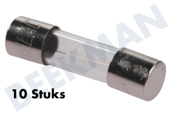 Universeel FST008 Glaszekering glaszekering 5 x 20 mm