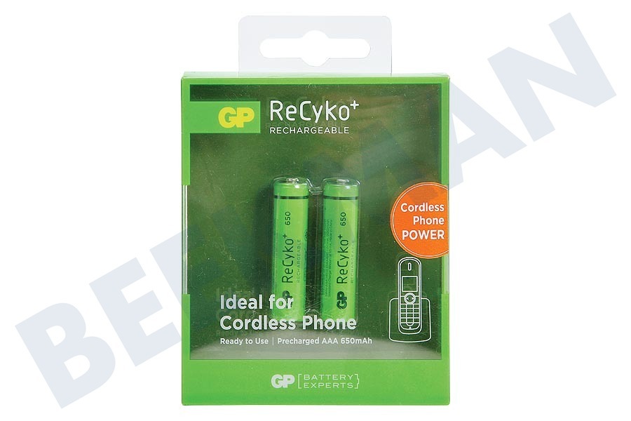GP 12065AAAHCC2 LR03 ReCyko+ AAA 650 - 2 oplaadbare