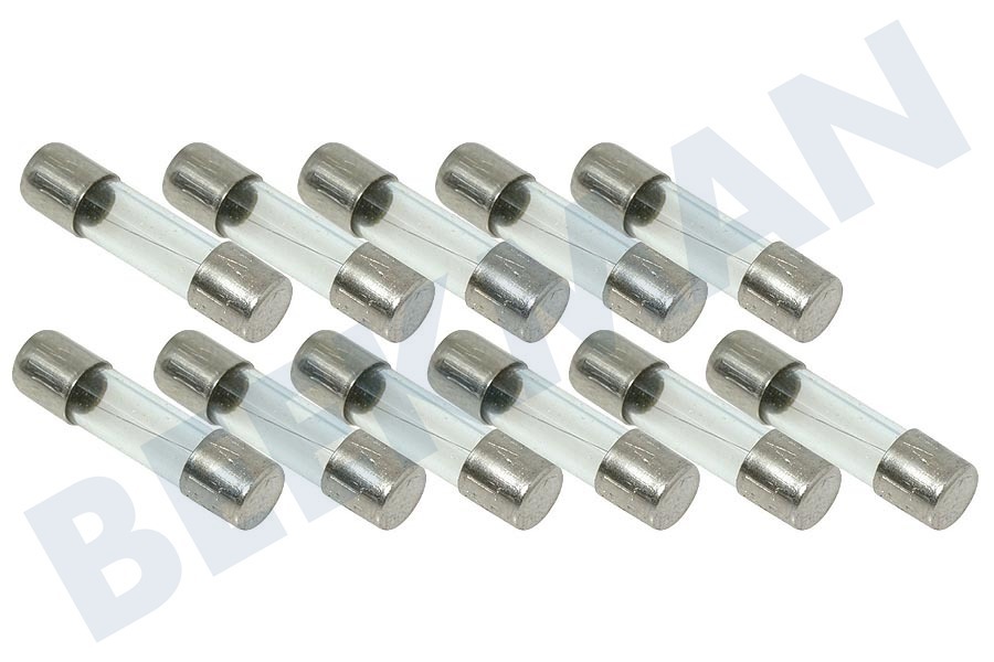 Universeel Glaszekering glaszekering 5 x 20 mm (H, 2)