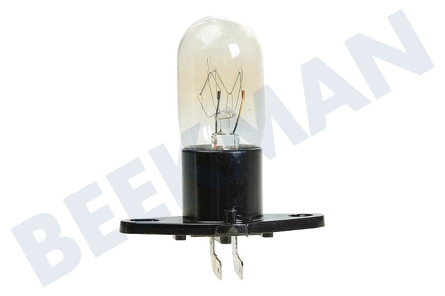 Alternatief 4713001524 4713-001524 Lamp Magnetron 20W